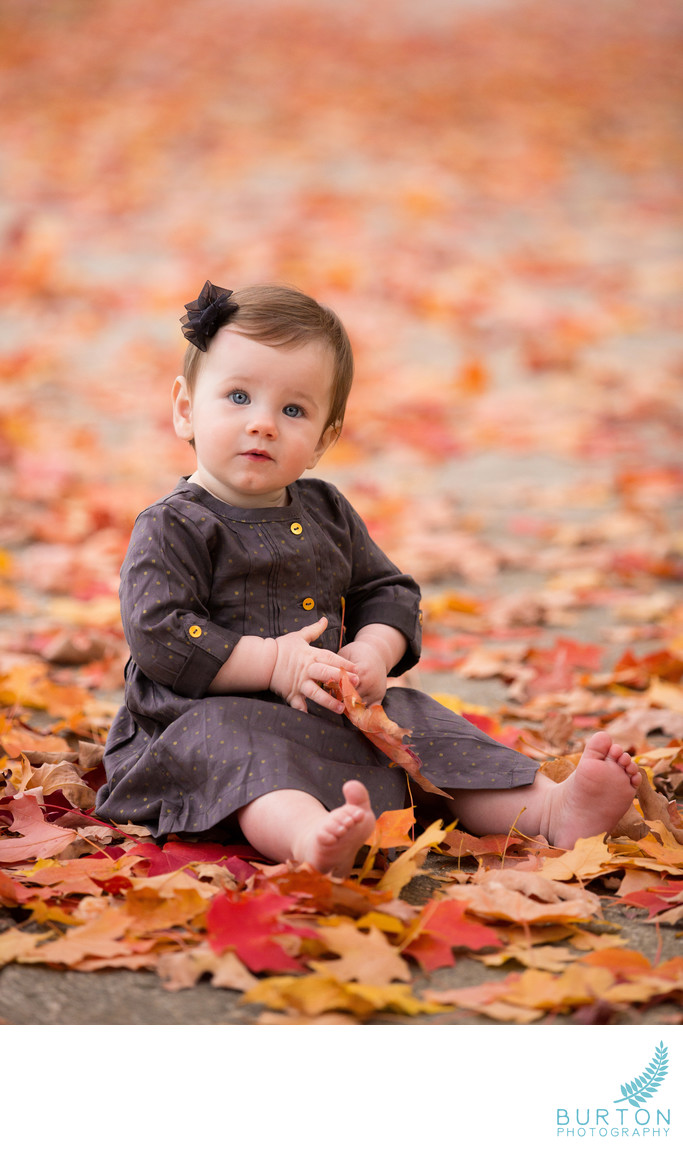 Winston-Salem Baby Portrait - Newborn and Baby Portraits Boone, Blowing ...