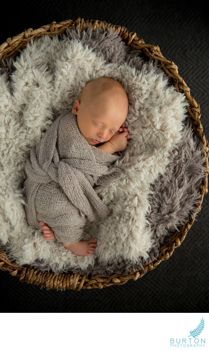 Best Baby Photographer Boone - Newborn and Baby Portraits Boone ...