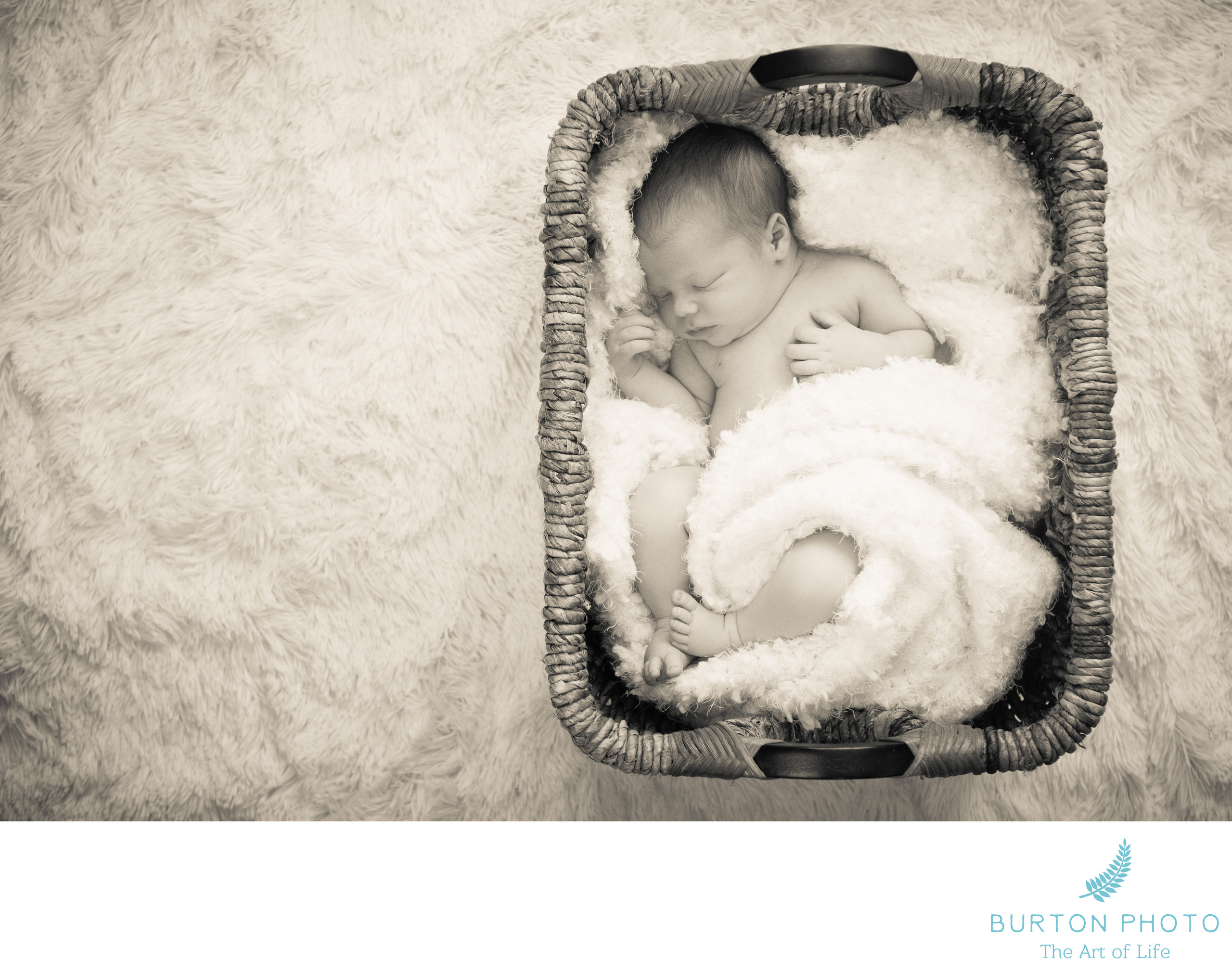 Best Newborn Baby Portrait Boone - Newborn and Baby Portraits Boone ...