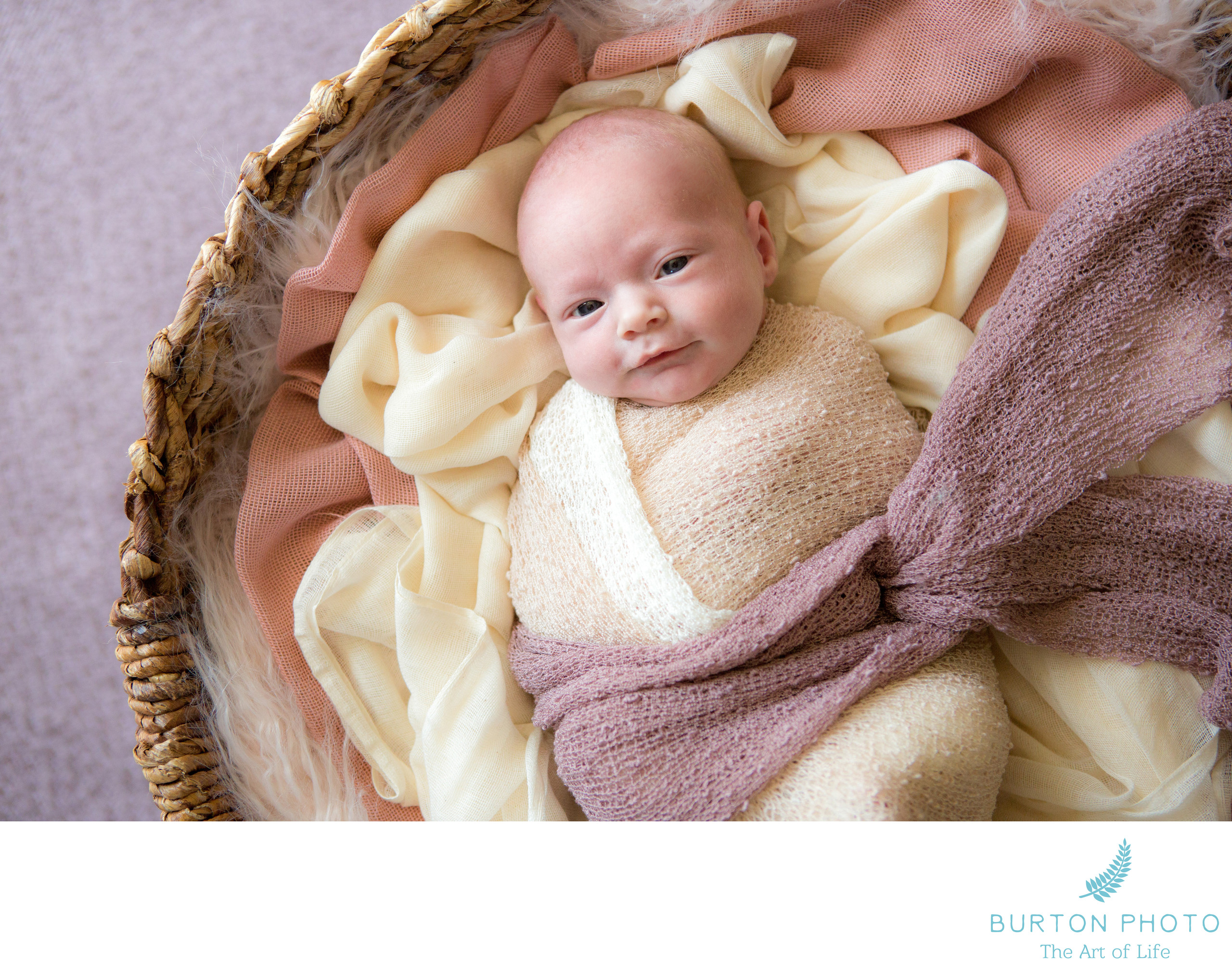 Best Newborn Baby Portraits Boone - Newborn and Baby Portraits Boone ...