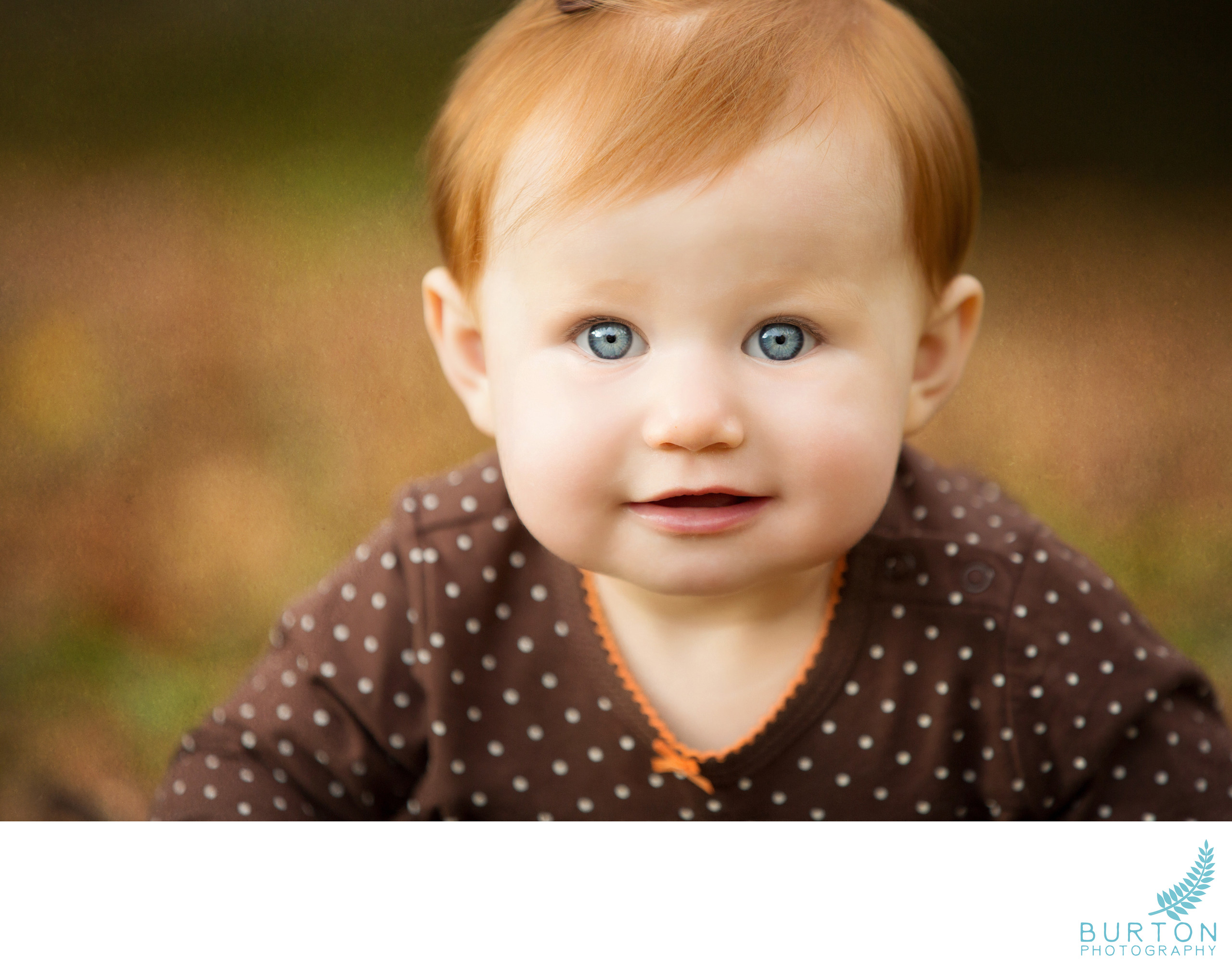 Boone Baby Photographer - Newborn and Baby Portraits Boone, Blowing Rock