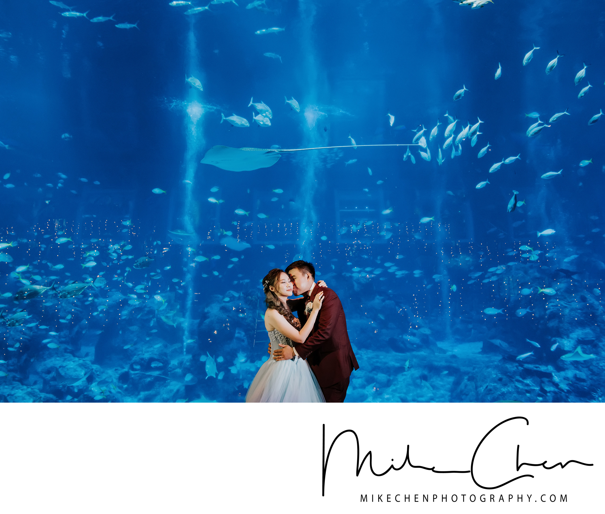 Sea Aquarium Wedding Photography - Singapore Wedding Photography ...