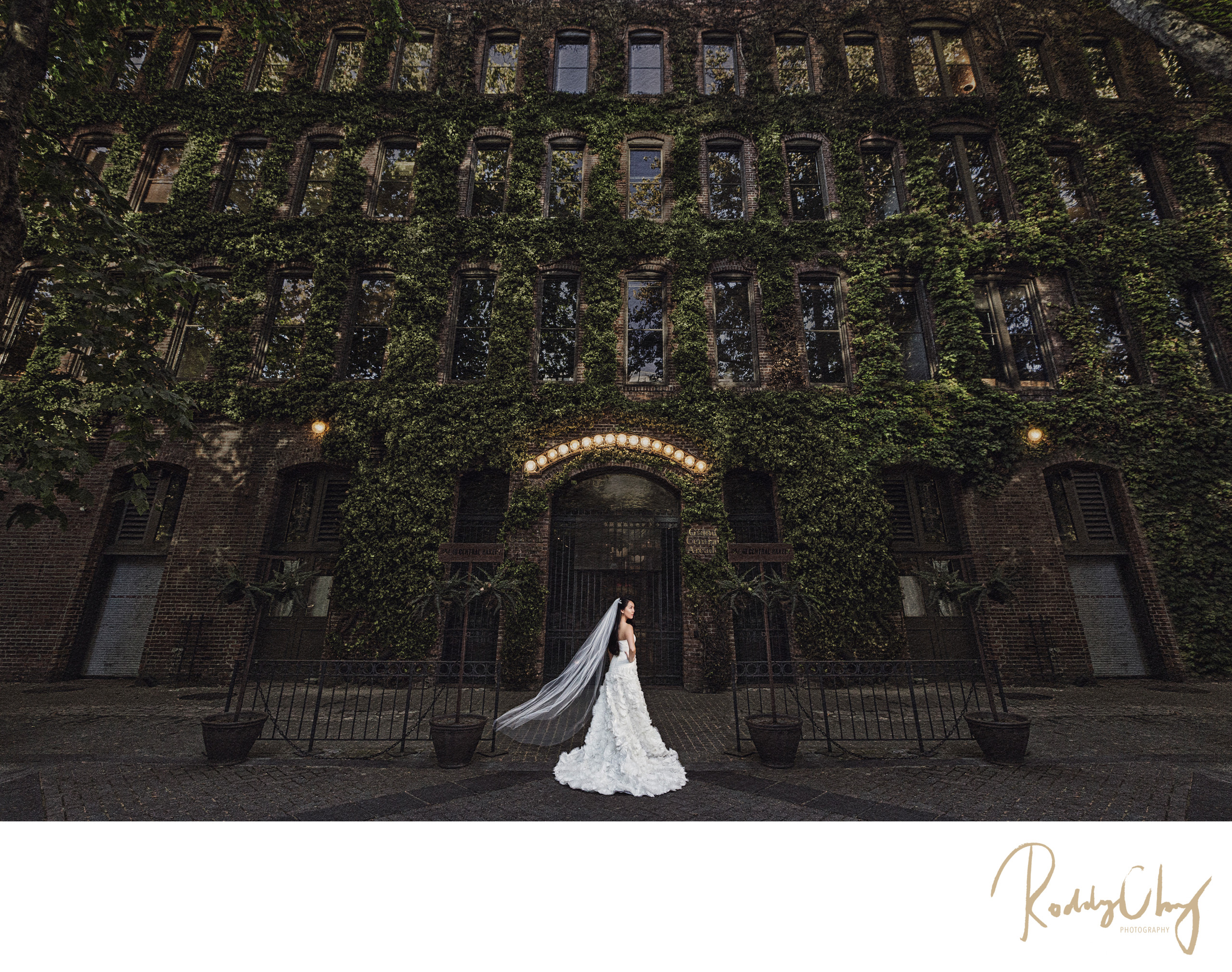 Seattle Wedding Photographer
