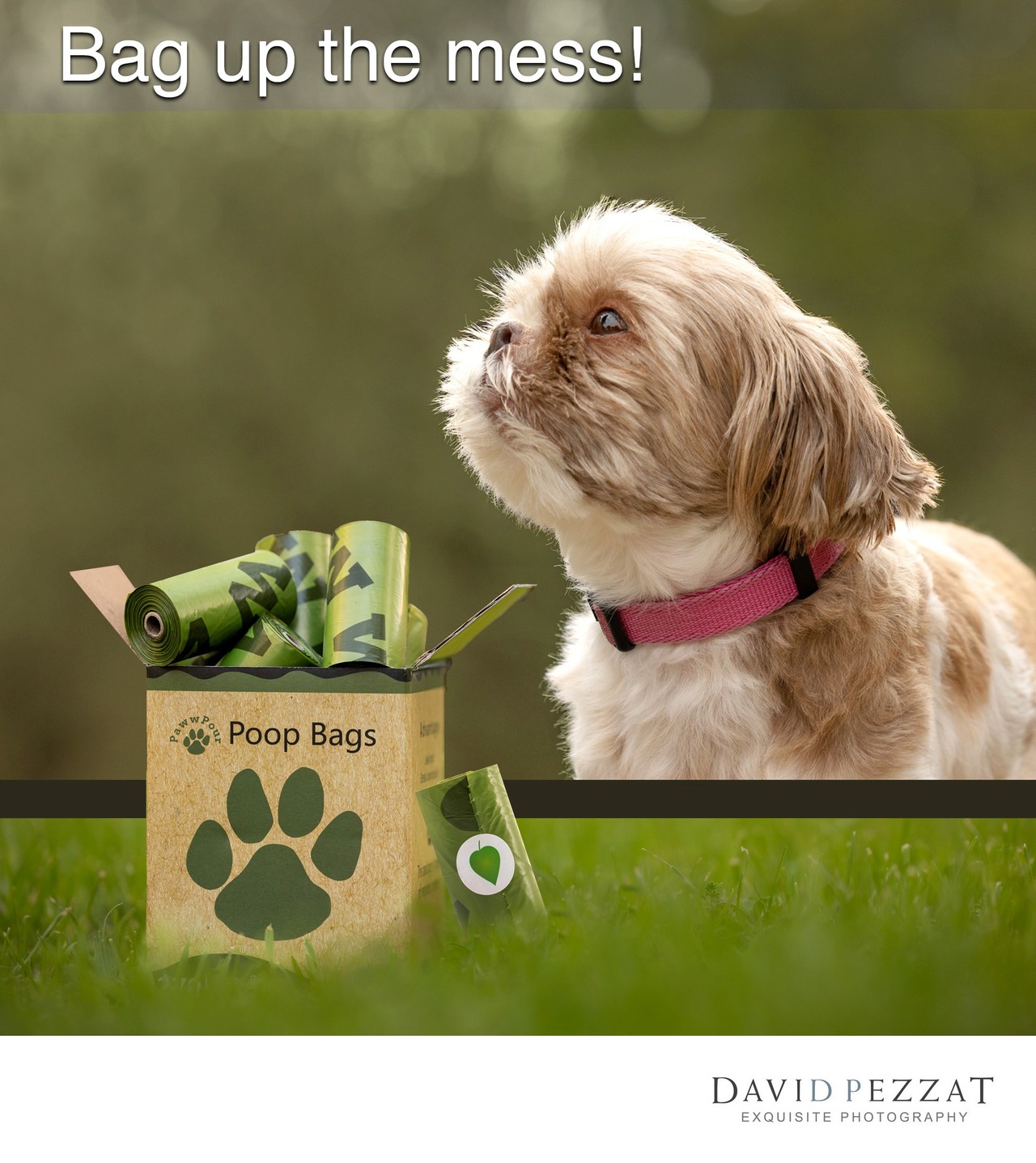Photography for Dog Poop Bags - David Pezzat Photographers